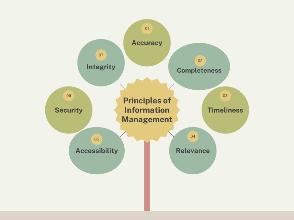 What are the Principles of Information Management?